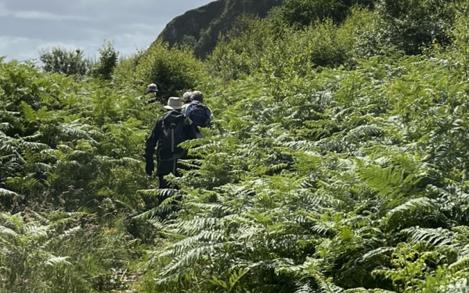 Five Go on an Island Adventure - Largs Probus Club